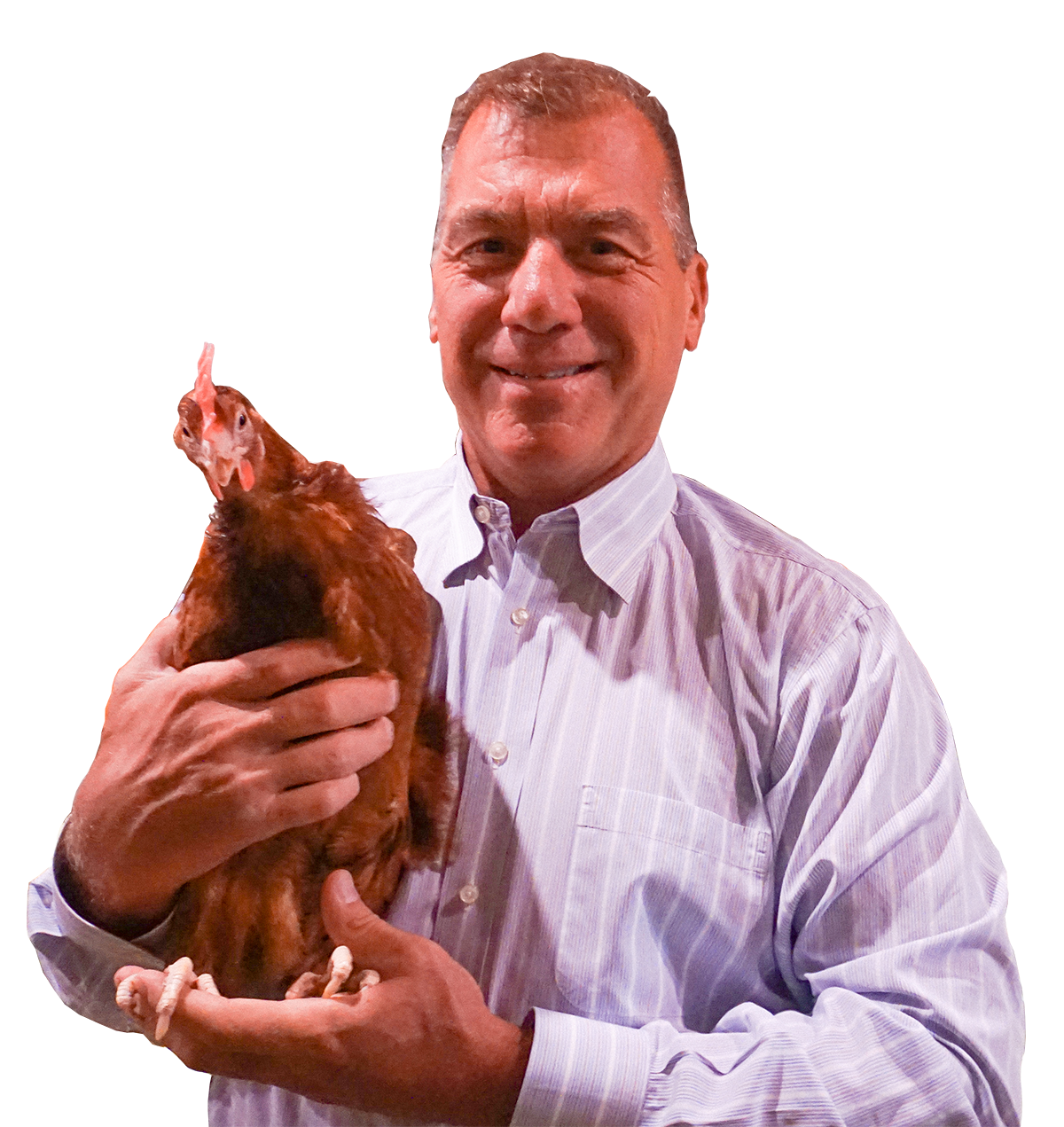 Being American Humane Certified - Noah's Pride